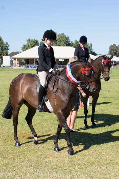 2017 Gallery Sunday - Port Elliot Show