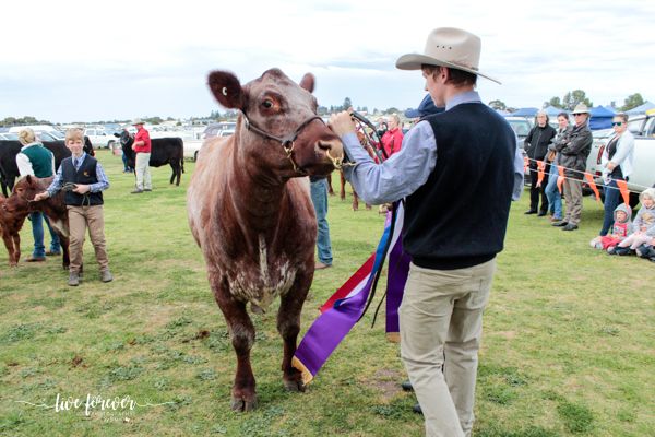 2017 Saturday Gallery - Port Elliot Show