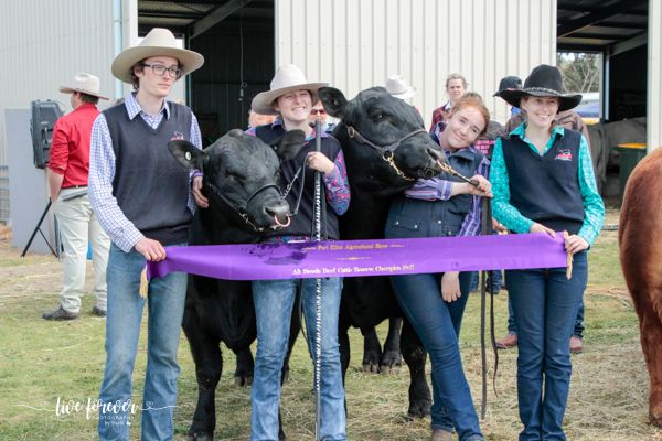 2017 Saturday Gallery - Port Elliot Show