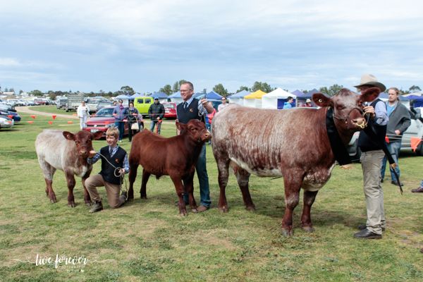 2017 Saturday Gallery - Port Elliot Show