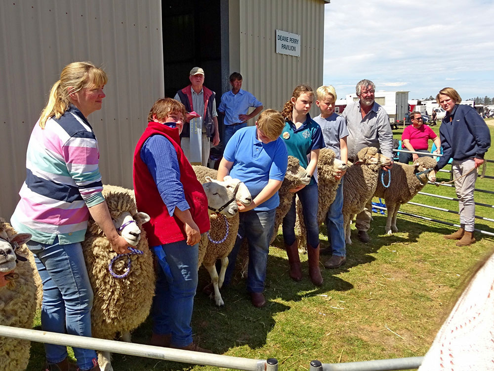 2018 Gallery - Port Elliot Show