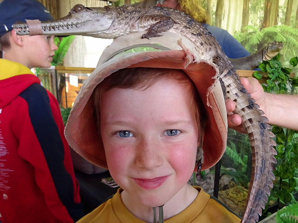 2018 Gallery - Port Elliot Show