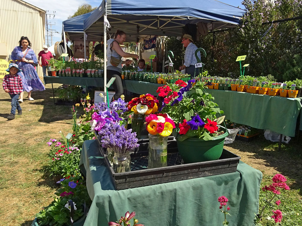 2018 Gallery - Port Elliot Show