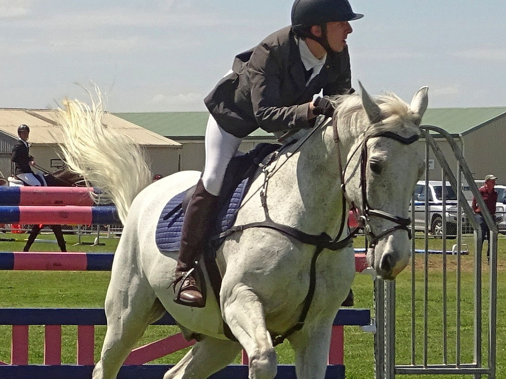 2018 Gallery - Port Elliot Show
