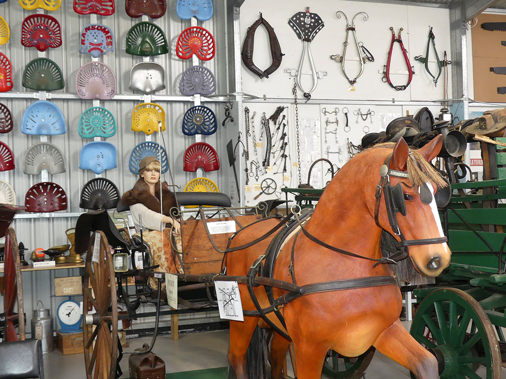 2018 Gallery - Port Elliot Show