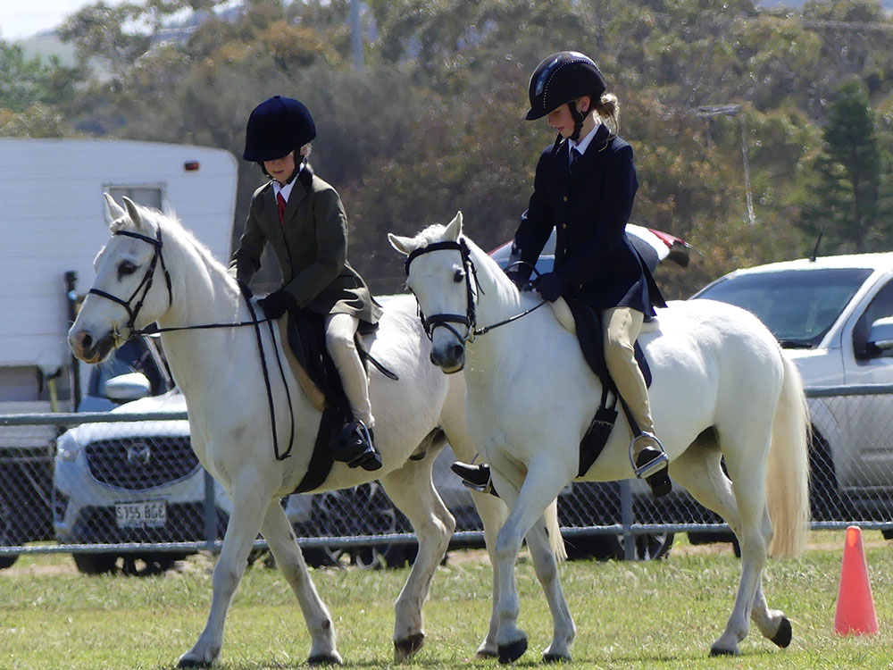 2018 Gallery - Port Elliot Show