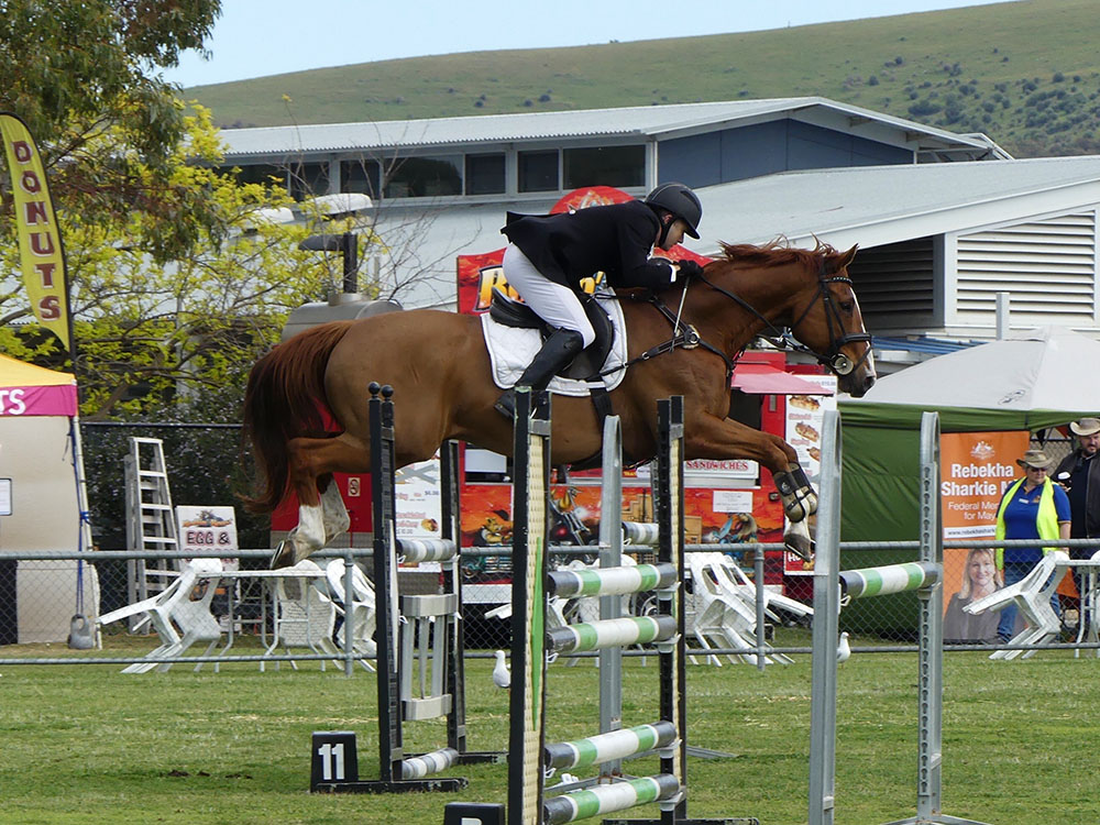 2018 Gallery - Port Elliot Show