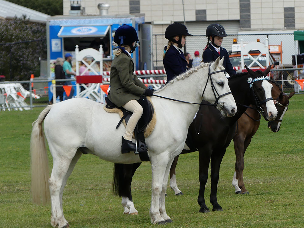 2018 Gallery - Port Elliot Show